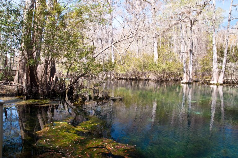 Visitor Information | City of Homerville